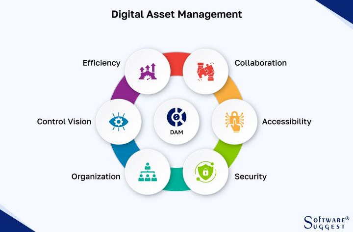 Digital Asset Management Tools: The Key to Boosting ROI and Efficiency ...